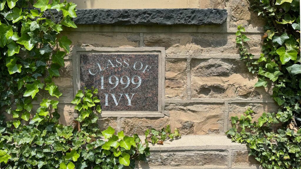 Election - Princeton Class of 1999